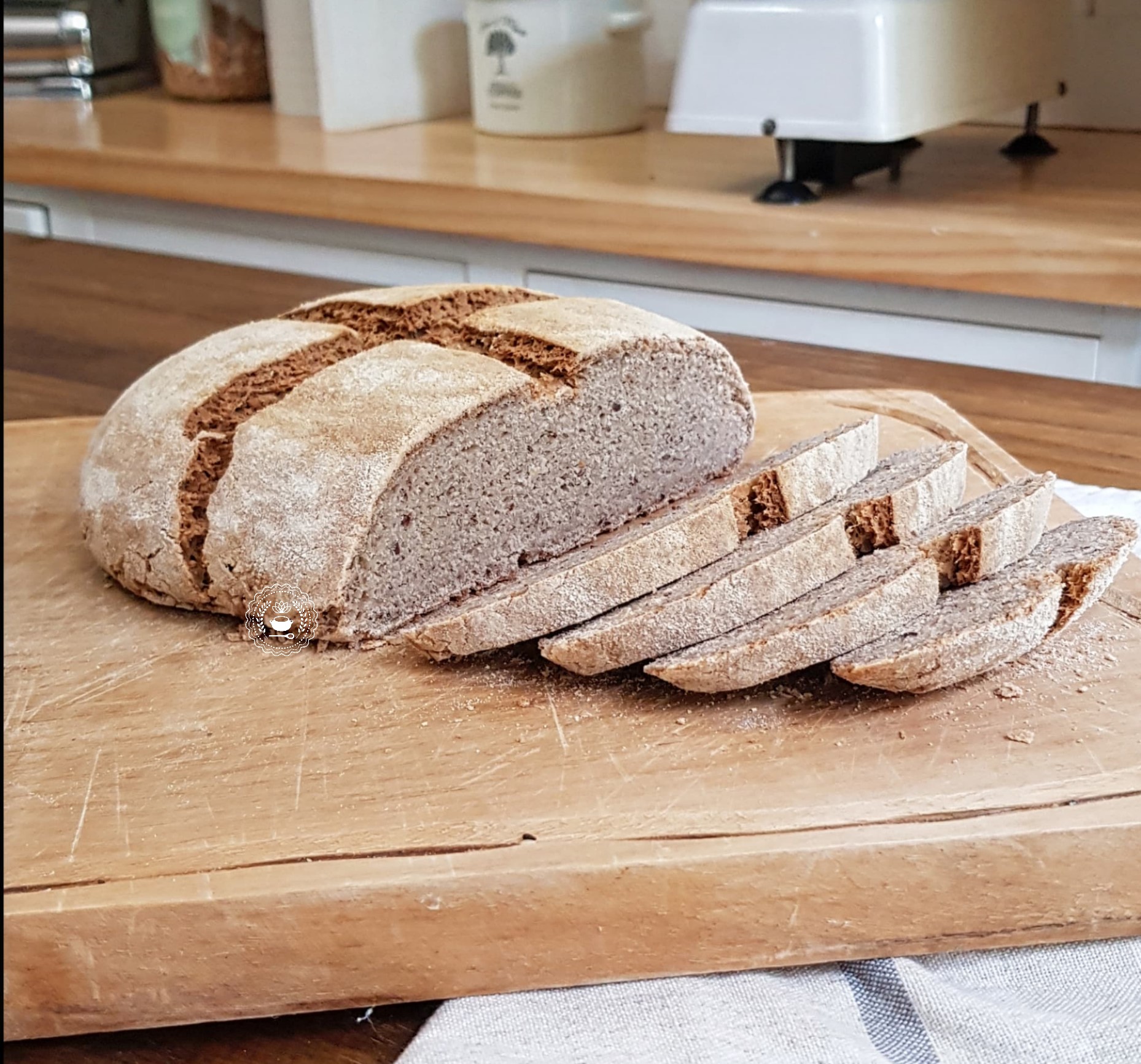 PANADERÍA INTEGRAL PLANT BASED Y SIN GLUTEN – Tienda Romina Molina